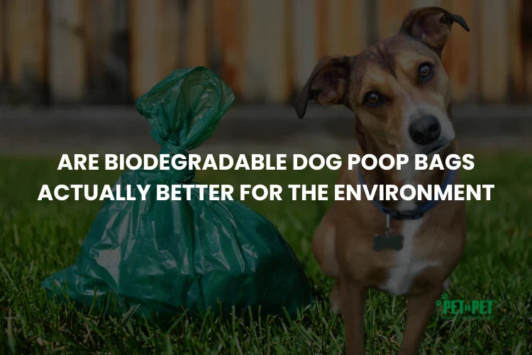 Are Biodegradable Poop Bags Better? The Honest Truth – Pet N Pet
