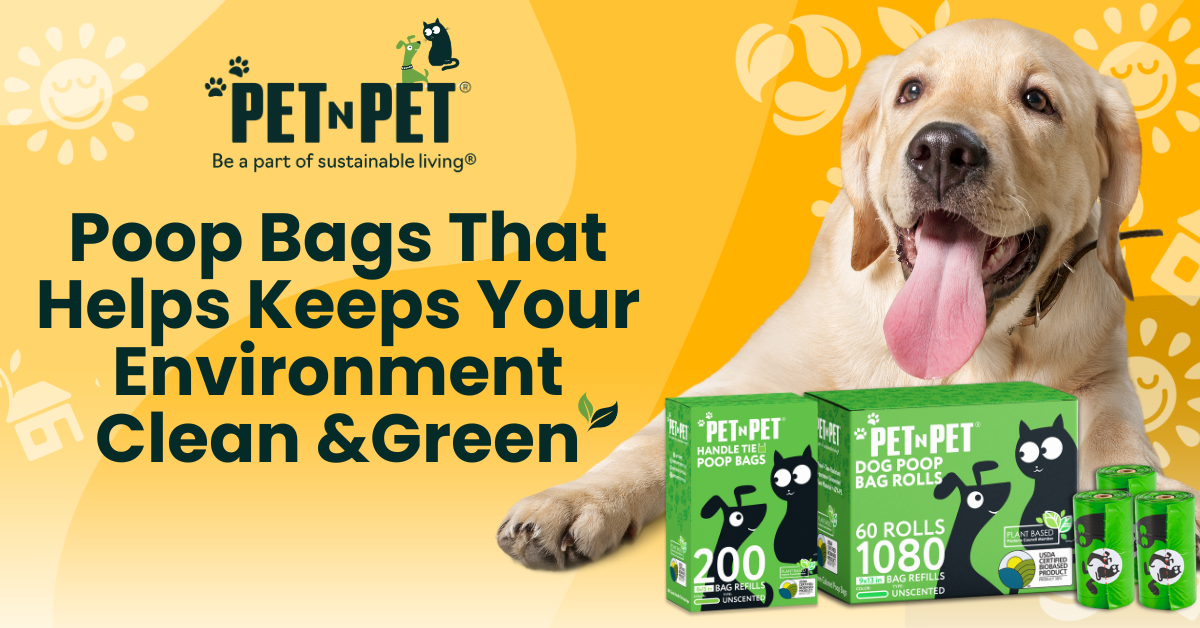 PET N PET® | Be a part of sustainable living® – Pet N Pet